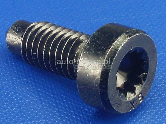 C70639 Śruba M8 x 20 zamka klapy SEAT SKODA VW z gniazdem wielozębnym ...